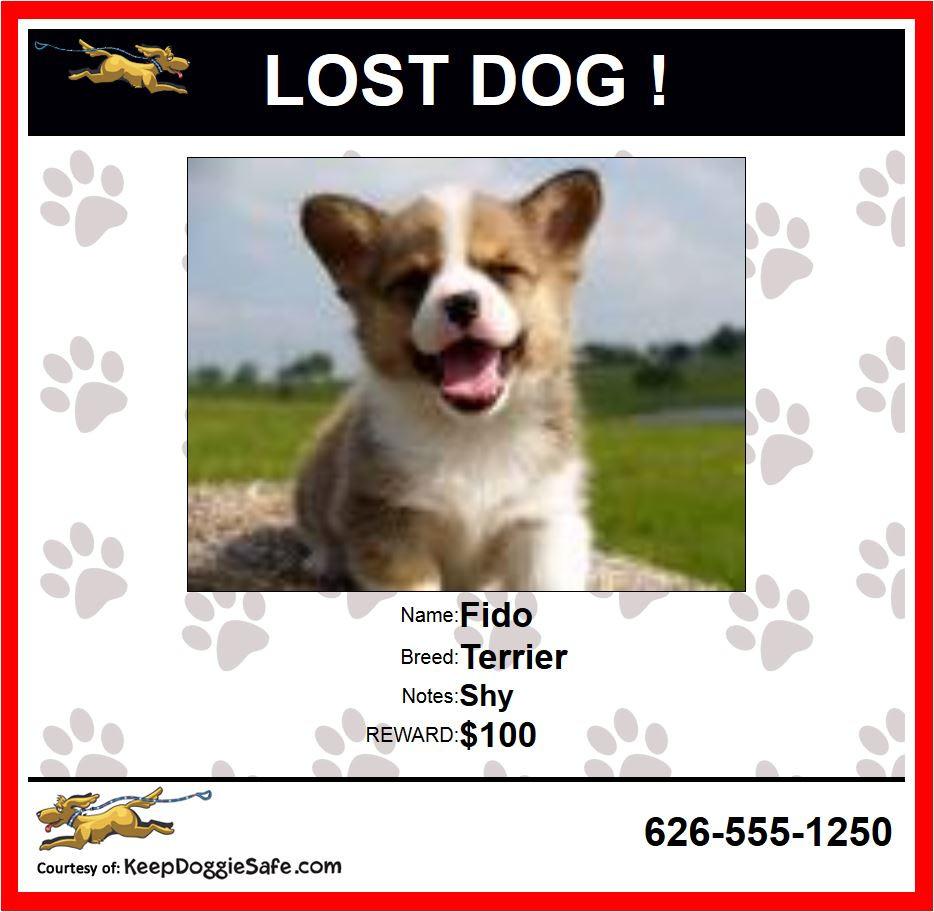 Pet Safety Signs – Keep Doggie Safe